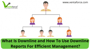 What Is Downline and How To Use Downline Reports For Efficient ...